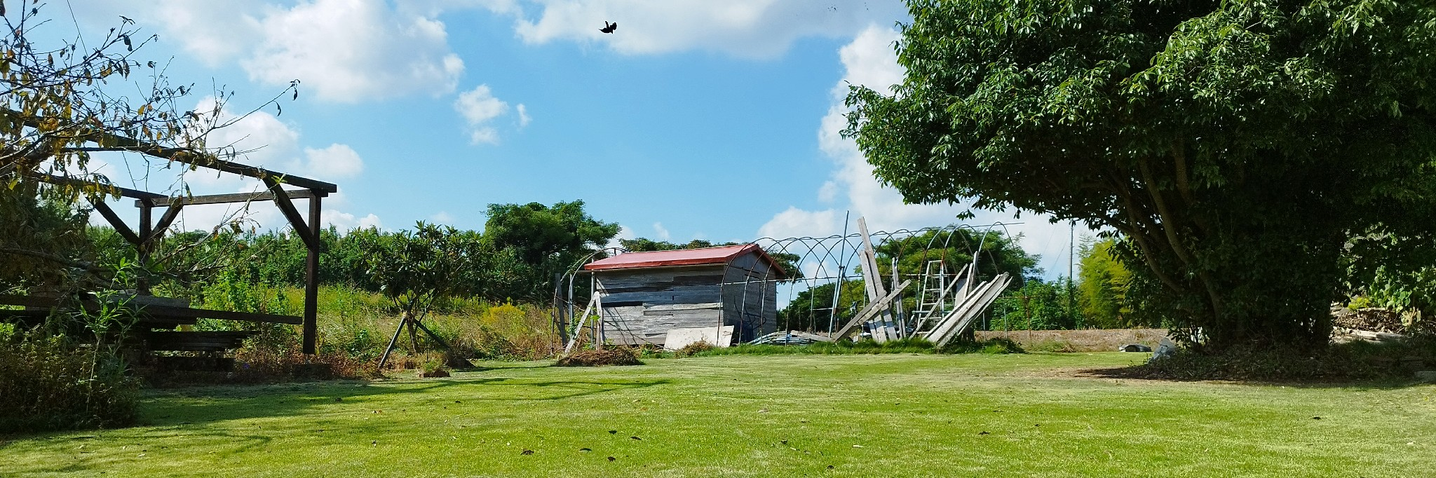 Yume_Room のROOM - 欲しい! に出会える。