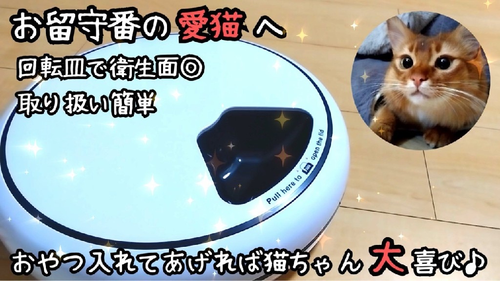 【即納】 penefa 自動給餌器 猫 犬 水洗い可能 自動餌やり機 ウェットフード対応 電池 USBケーブル 少量 1日4食設定可能 ...