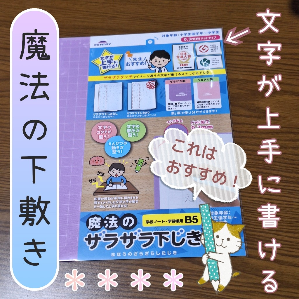 【楽天ランキング入賞】 レイメイ 藤井 先生おすすめ魔法の下じきB5 U783A 下敷き U783
