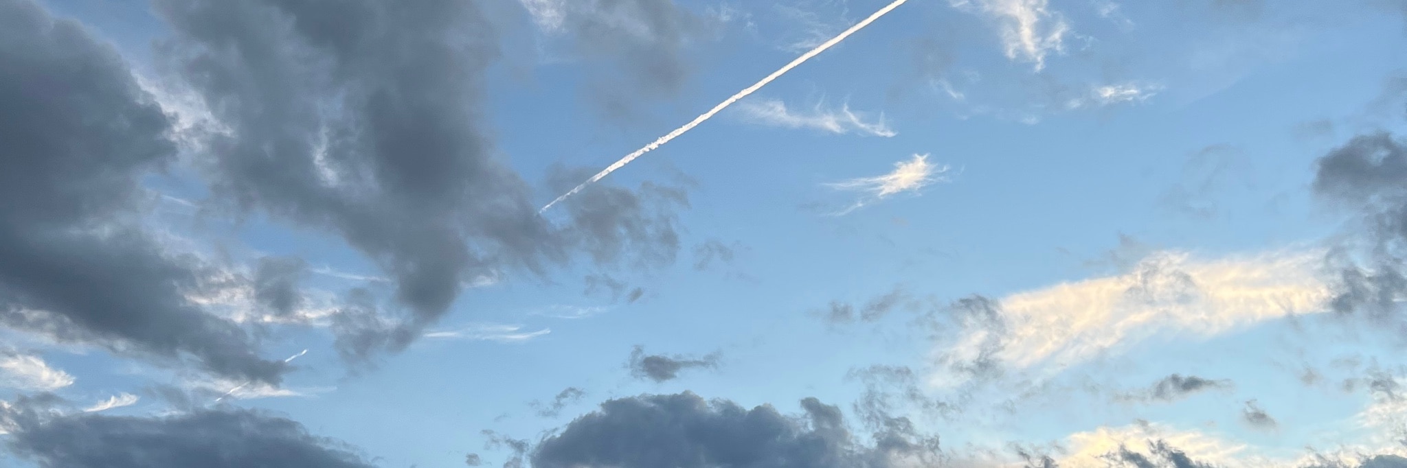 mirai のROOM - 欲しい! に出会える。