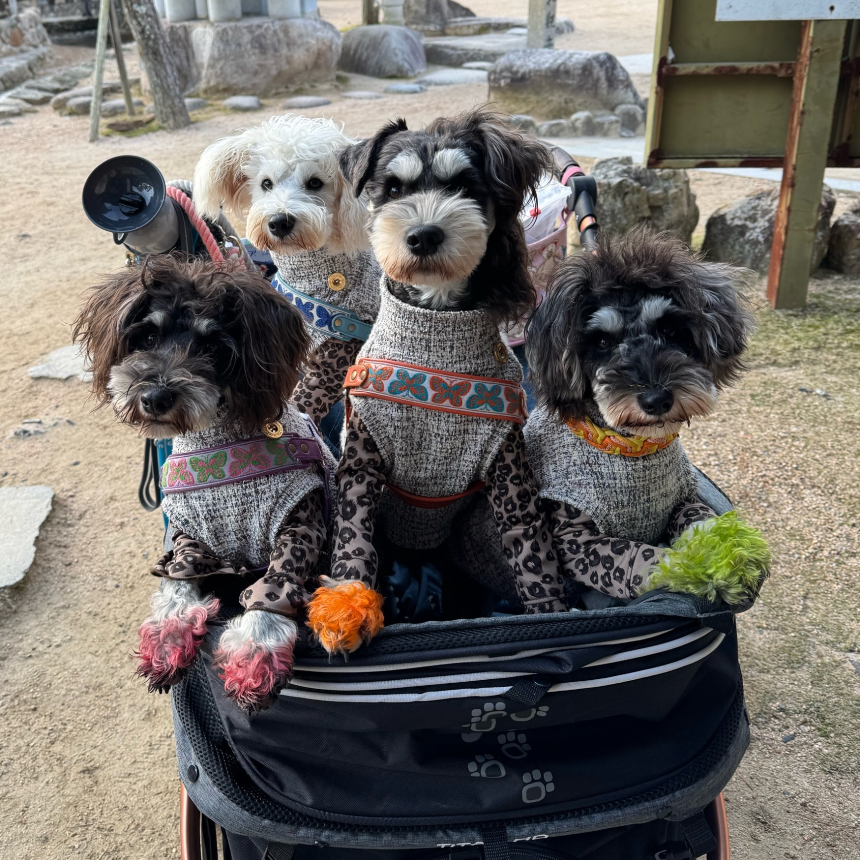 KRLI のROOM - 欲しい! に出会える。