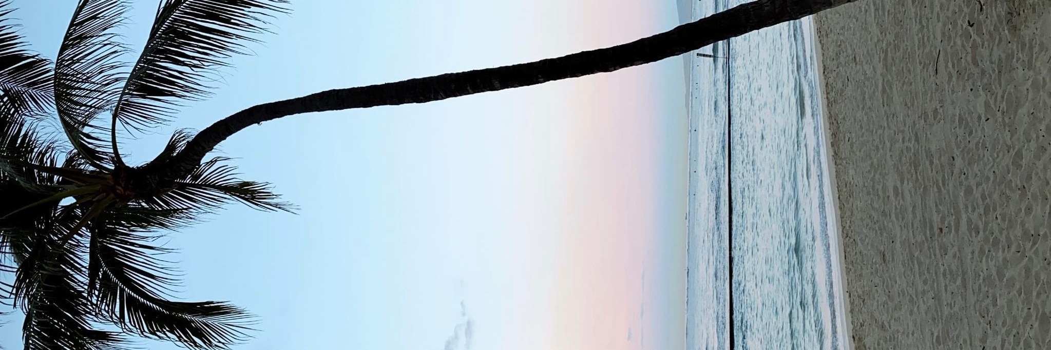 __mu_off のROOM - 欲しい! に出会える。