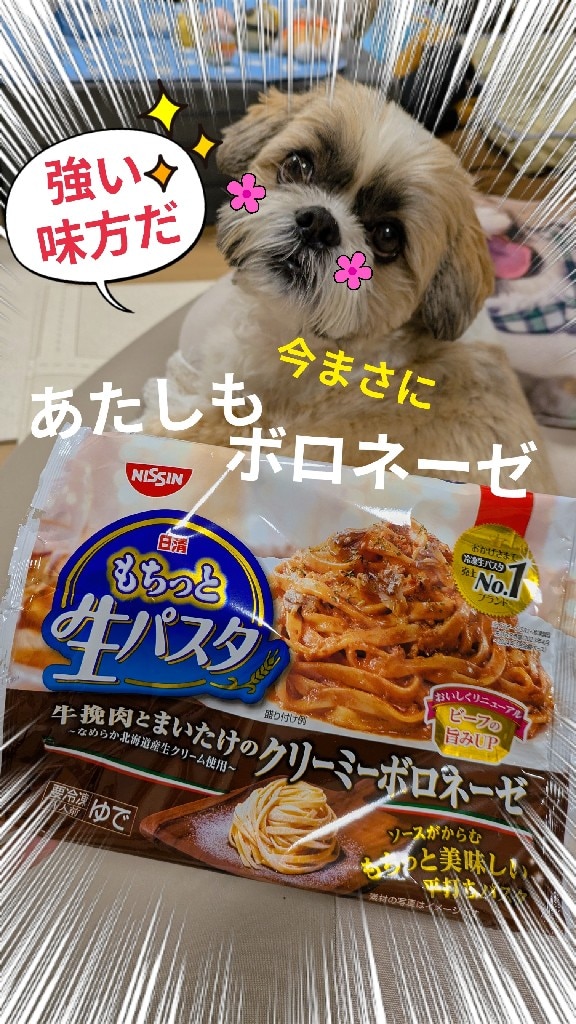 送料無料 まとめてお得【7個販売】日清 生パスタクリーミーボロネーゼ 288g 冷凍食品