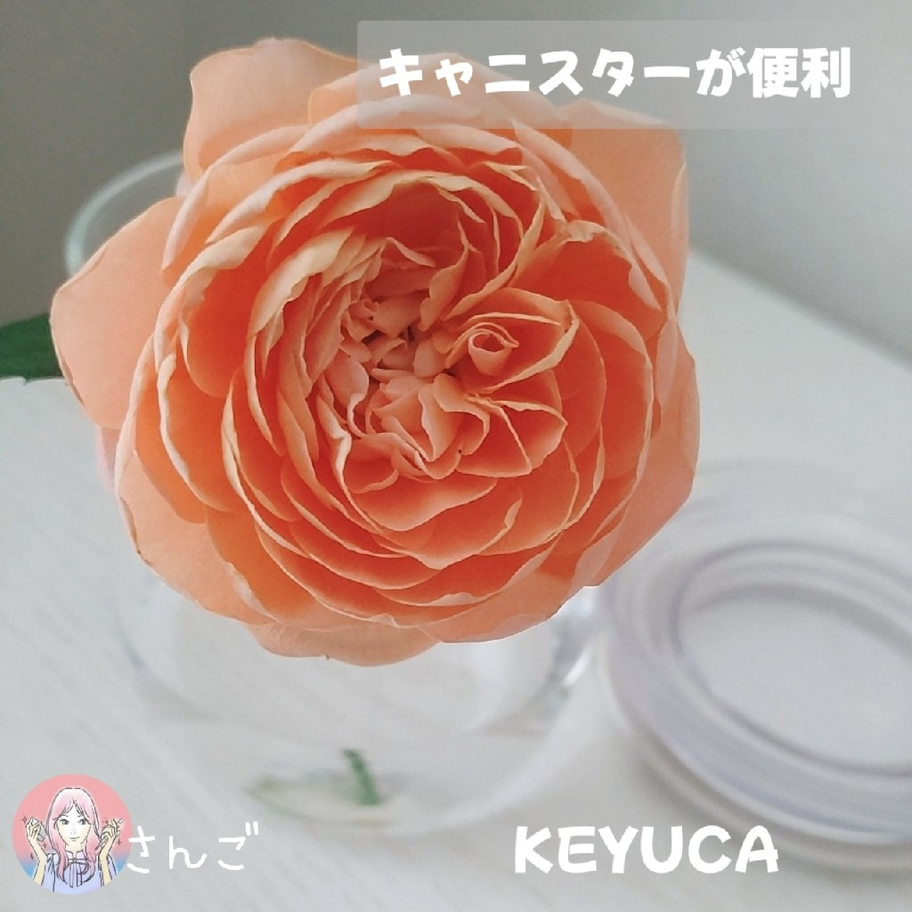【KEYUCA公式店】ケユカ Hozos 耐熱ガラスキャニスター 380ml [キッチン用品 保存容器 耐熱ガラス 食洗器対応 重ねて収納 無地 シンプル おしゃれ 通販]