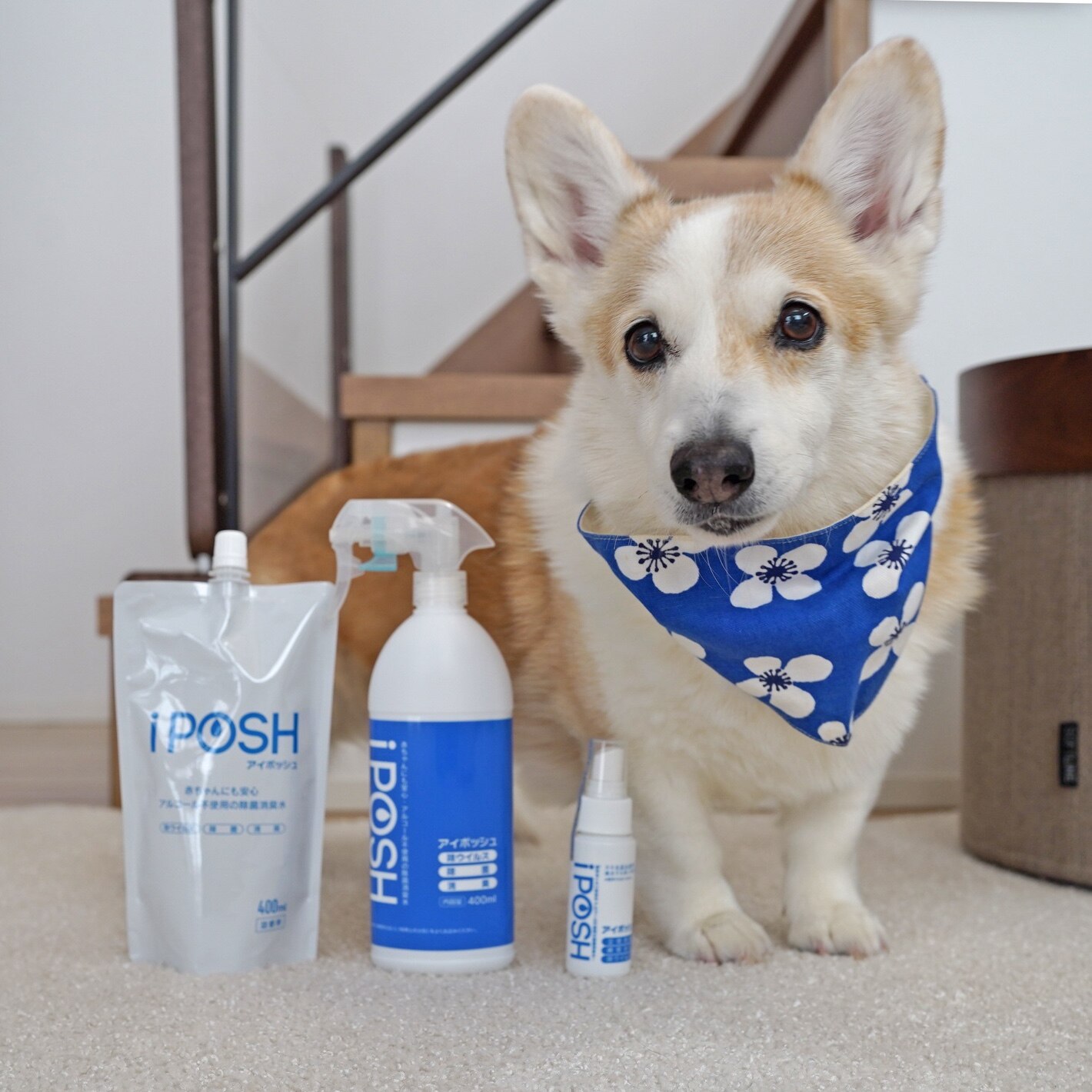 除菌消臭水 iPOSH（アイポッシュ）スプレー（400ml）【赤ちゃんのお肌に優しい弱酸性次亜塩素酸 200ppm ウイルス・花粉・カビ対策 キッチンお風呂トイレ掃除 部屋干し臭対策】