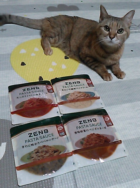 【30%OFFクーポン】 ZENB ゼンブ パスタソース まとめ買い 4種4袋セット 送料無料 ｜ 糖質オフ グルテンフリー 糖質制限 糖質コントロール レンジで簡単 プラントベース 小麦粉不 ...