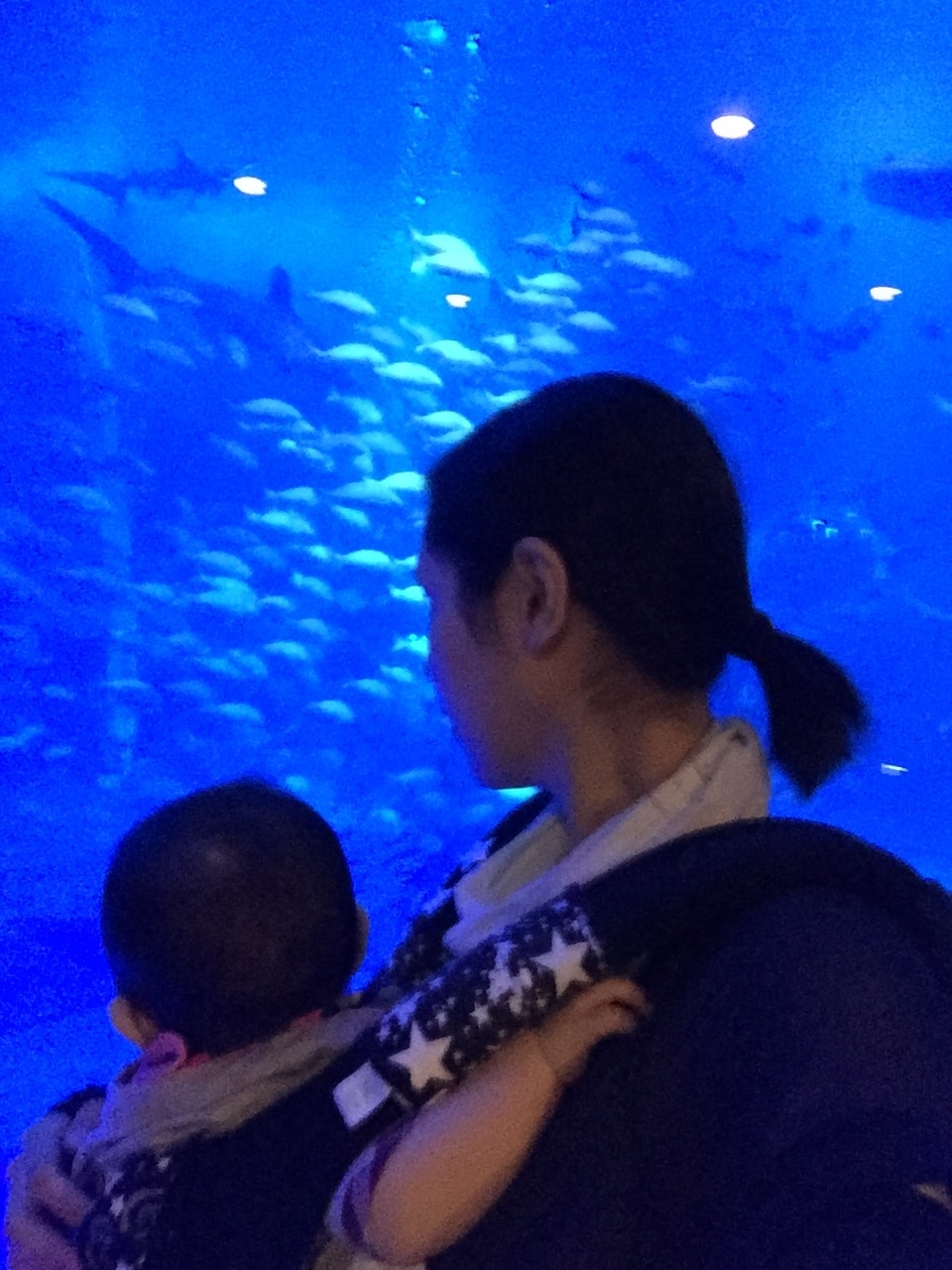 るれお 三児(男👦)のママ のROOM - 欲しい! に出会える。