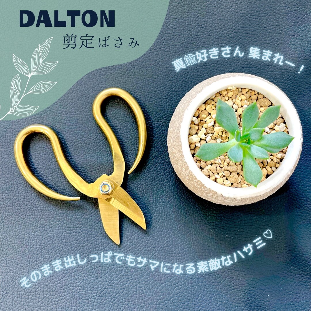 ダルトン ボンサイ シザーズ B DULTON BONSAI SCISSORS B K655-748B 剪定バサミ シンプル おしゃれ 鋏 ステンレス 真ちゅうメッキ ガーデニング 家庭菜園 ...
