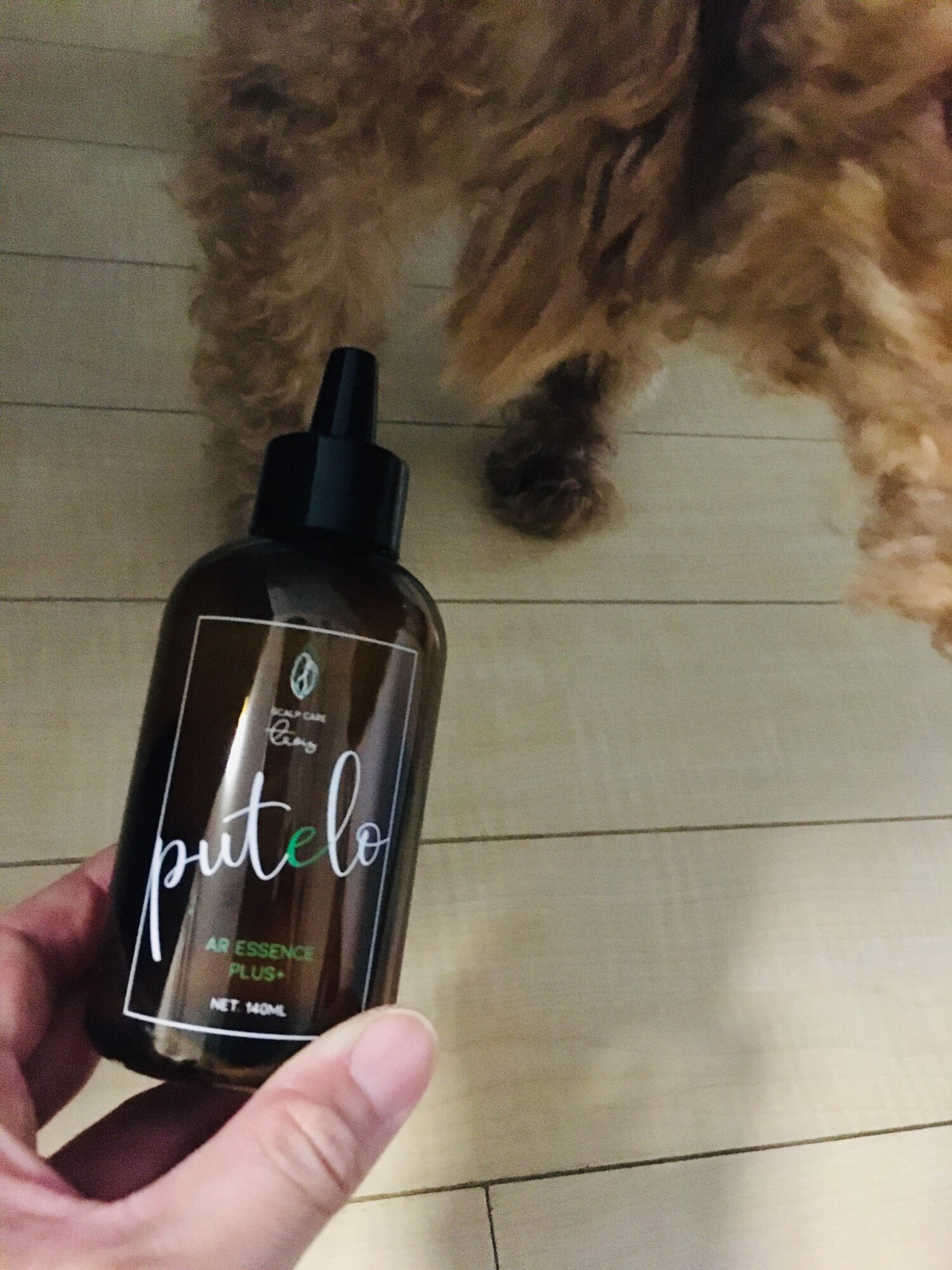 ★【送料無料】【正規品】プテロ putelo ／ AR エッセンス plus+ 140ml ヘアトニック サロン 専売品 植物由来 薄毛 抜け毛 予防 ptl-