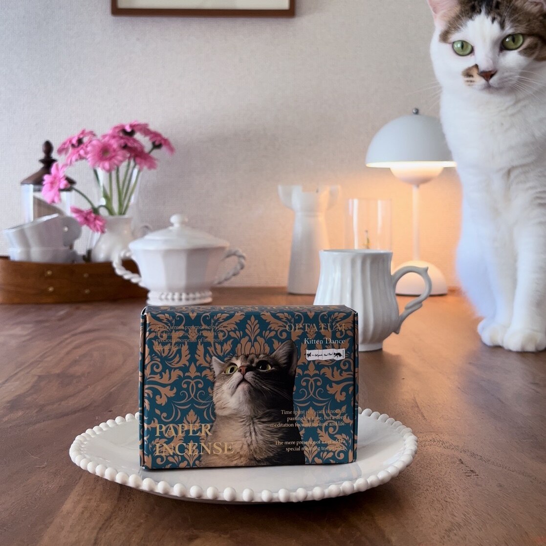 BIRTHDAY BAR 【OPTATUM】PAPER INCENSE DOG/CAT バースデイバー インテリア・生活雑貨 ディフューザー・お香・アロマオイル・キャンドル グリーン イエロー