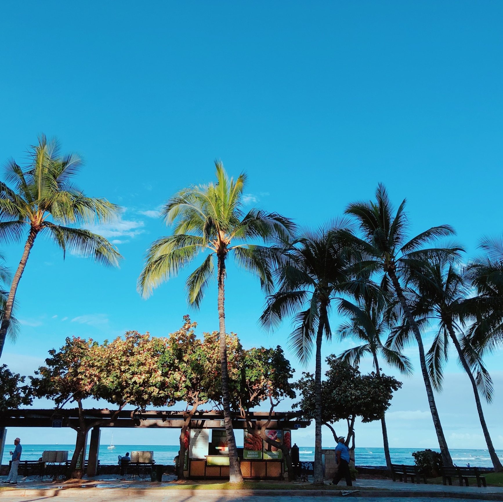 sayaka. のROOM - 欲しい! に出会える。