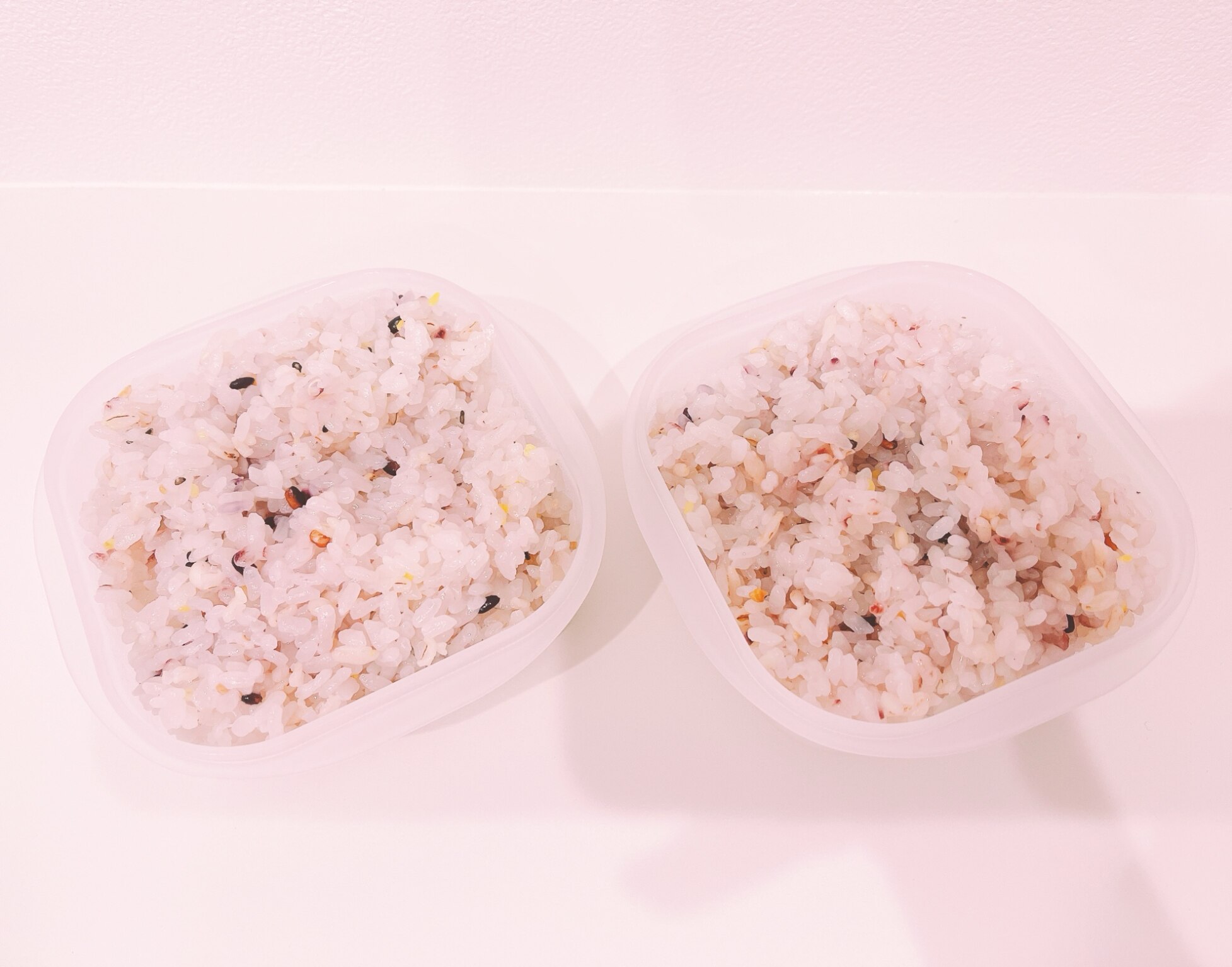 \選べる公式限定クリア／【マーナ公式】極 冷凍ごはん容器 2個入り K748| ごはん保存容器 冷凍ご飯容器 お米 保存容器 食洗機対応 電子レンジ対応 すのこ 小分け お弁当 洗いやすい ...