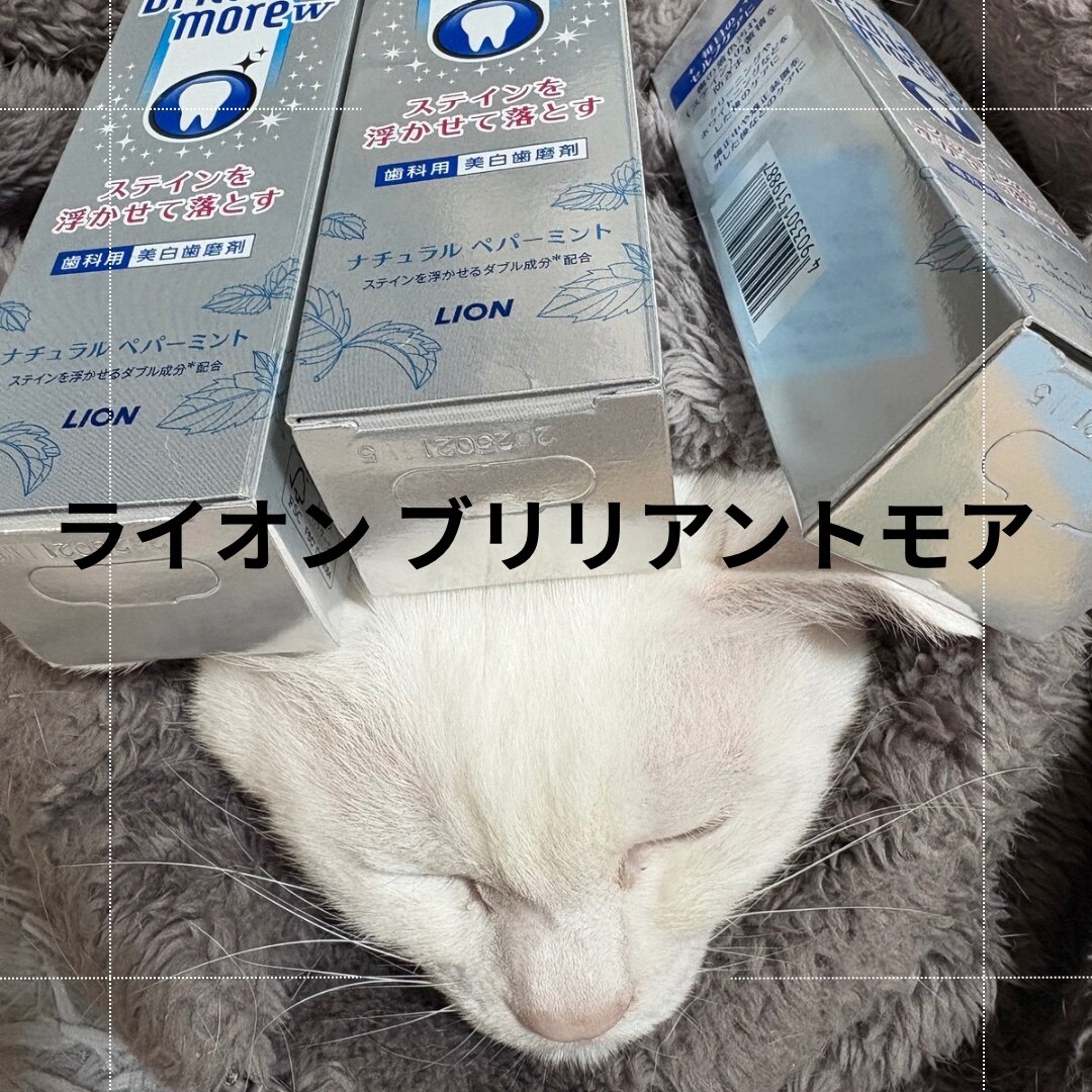 【対象商品PT10倍開催中】 ライオン DENT. ブリリアントモア ダブル ナチュラルペパーミント 90g 3本 ホワイトニング 【送料無料】【最安値挑戦中】