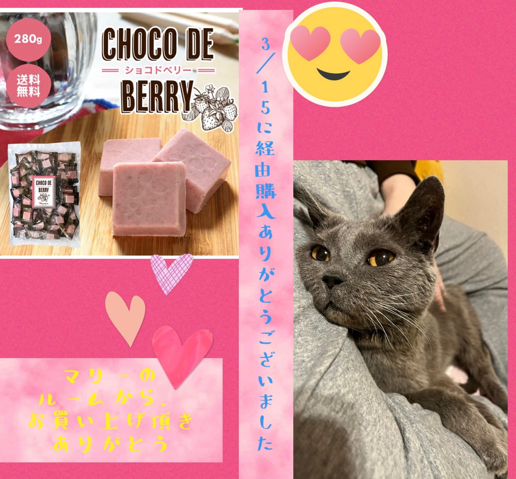 【choco de berry ショコドベリー 240g】イチゴ チョコレート 苺 いちご 一口サイズ 1000円ポッキリ 送料無料 ...