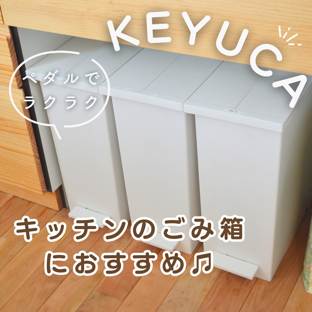 【KEYUCA公式店】ケユカ【WEB限定価格・送料無料】KEYUCA両開きダストボックス L（27L）2個セット ゴミ箱 ホワイト ブラック[おしゃれ キッチン シンプル ペダル スリム 観音 ...