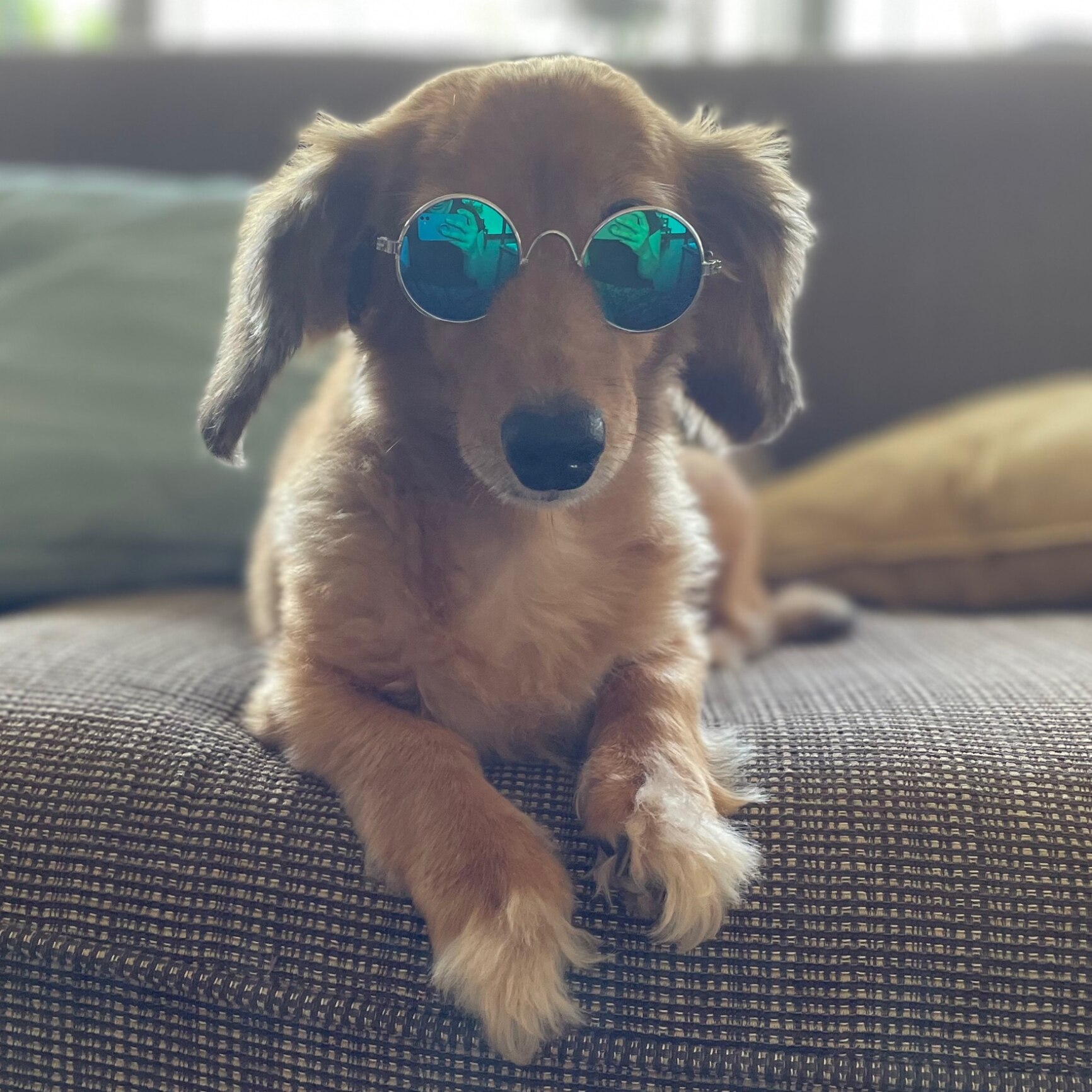 SHIMA kk のROOM - 欲しい! に出会える。