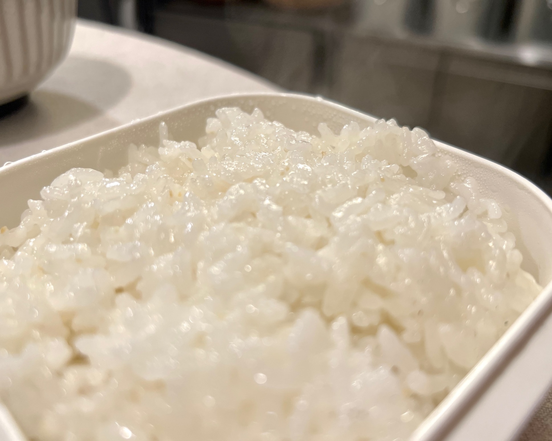 マーナ K748W 極 冷凍ごはん 容器 ホワイト 一膳分 約180g×2 送料無料