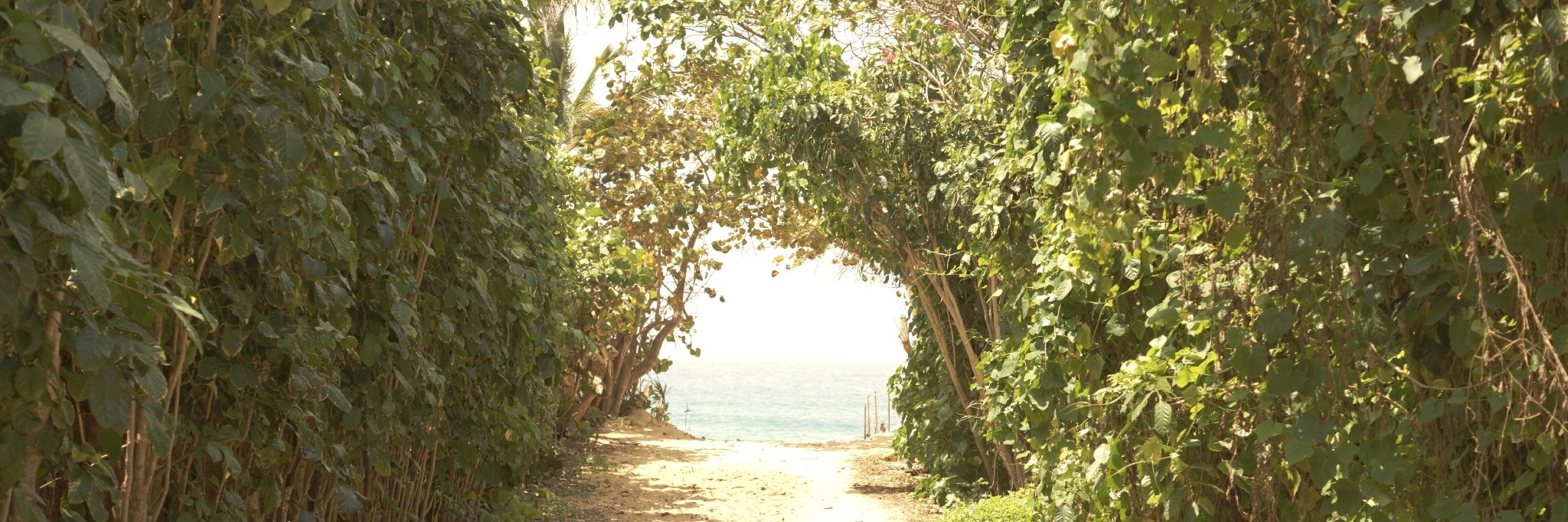 kaede のROOM - 欲しい! に出会える。