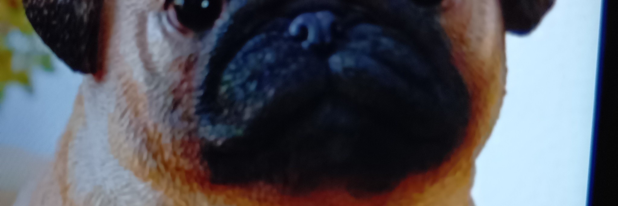 ふるふる のROOM - 欲しい! に出会える。