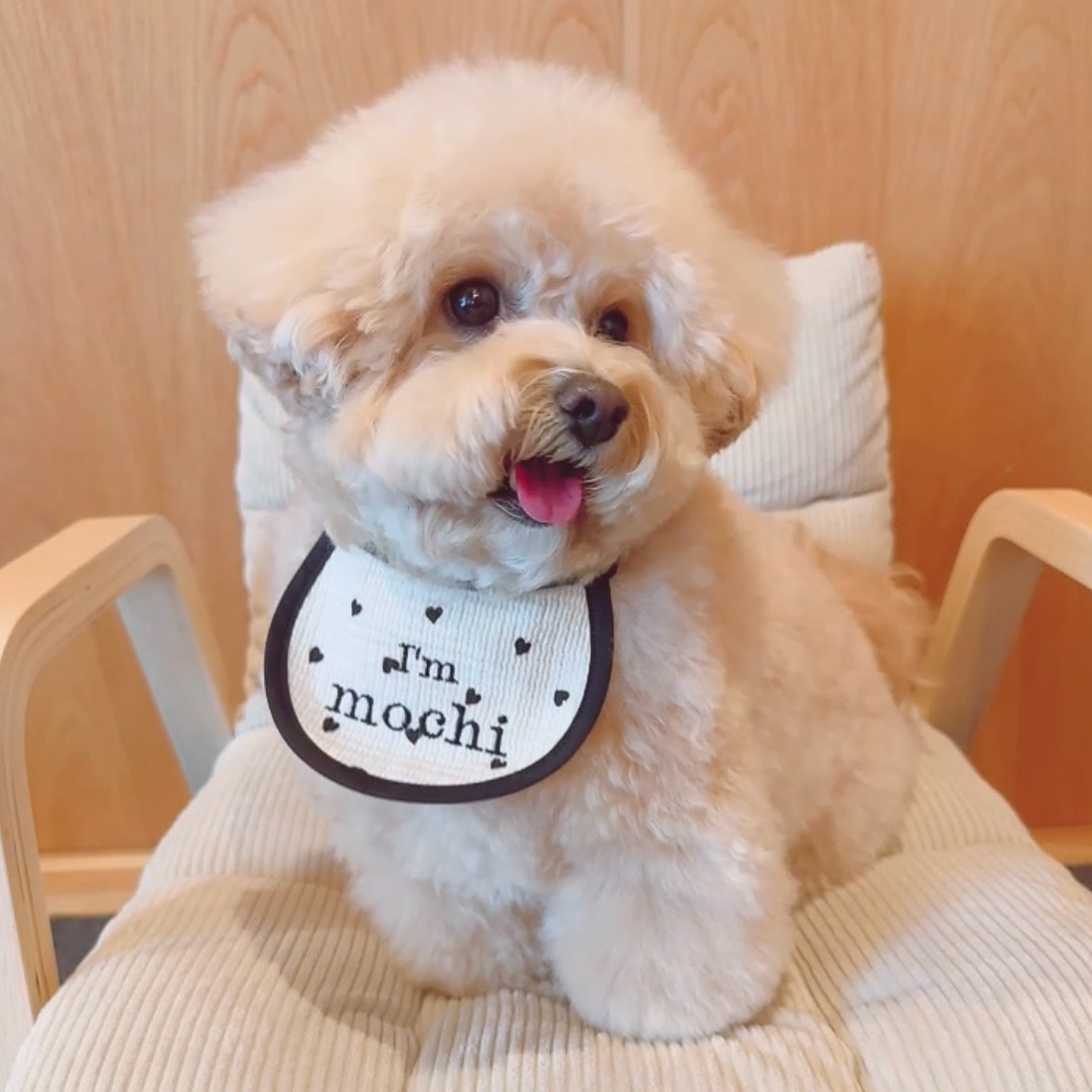 mochikun🐾 のROOM - 欲しい! に出会える。