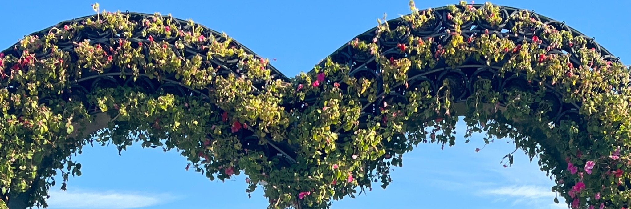 m-poo のROOM - 欲しい! に出会える。