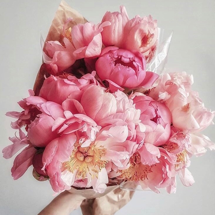 mirai のROOM - 欲しい! に出会える。