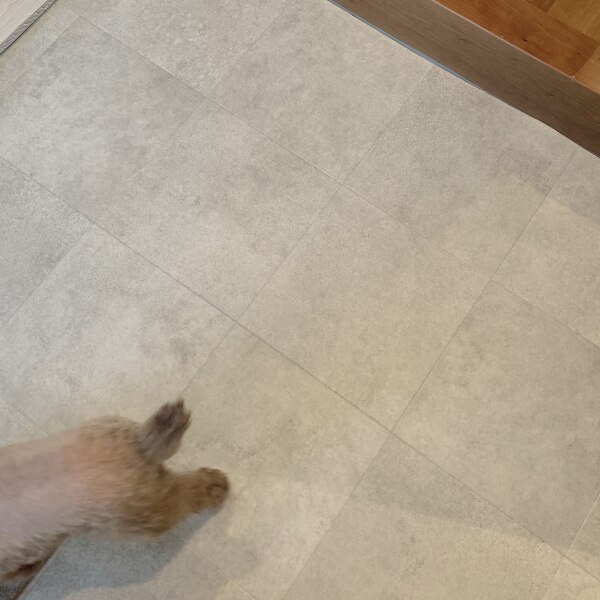 【クッションフロア】タイル柄 住宅用 サンゲツ 182cm巾 1.8mm厚 ベトンタイル*HM-12006/HM-12007