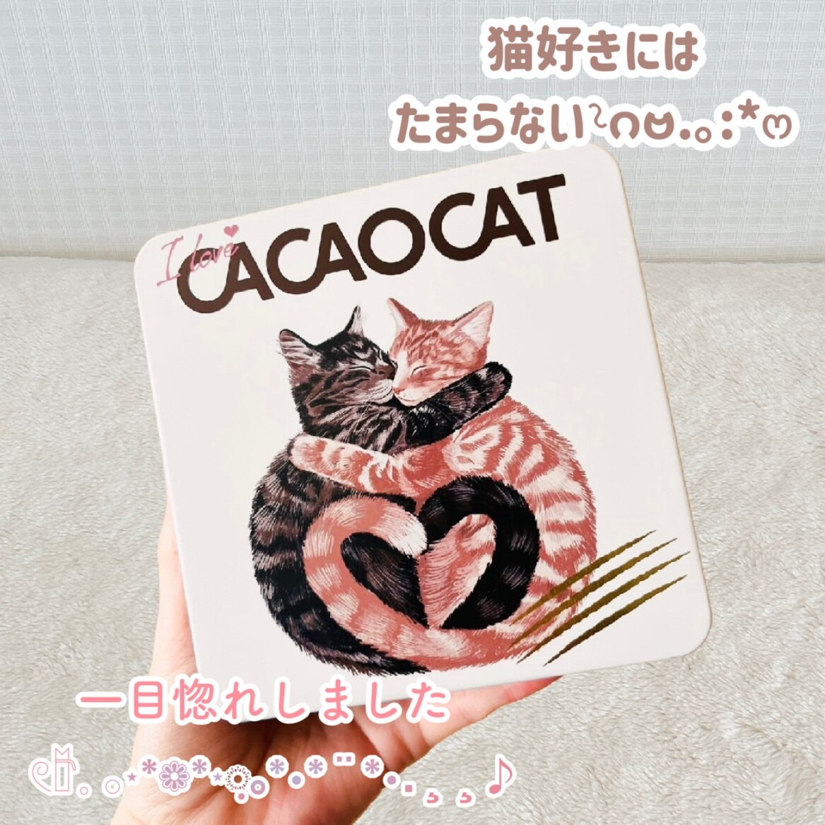 ホワイトデーにもオススメ！ DADACA 公式《CACAOCAT缶 ミックス 8個入り 》選べる猫缶 【送料無料】北海道 プレミアム ...