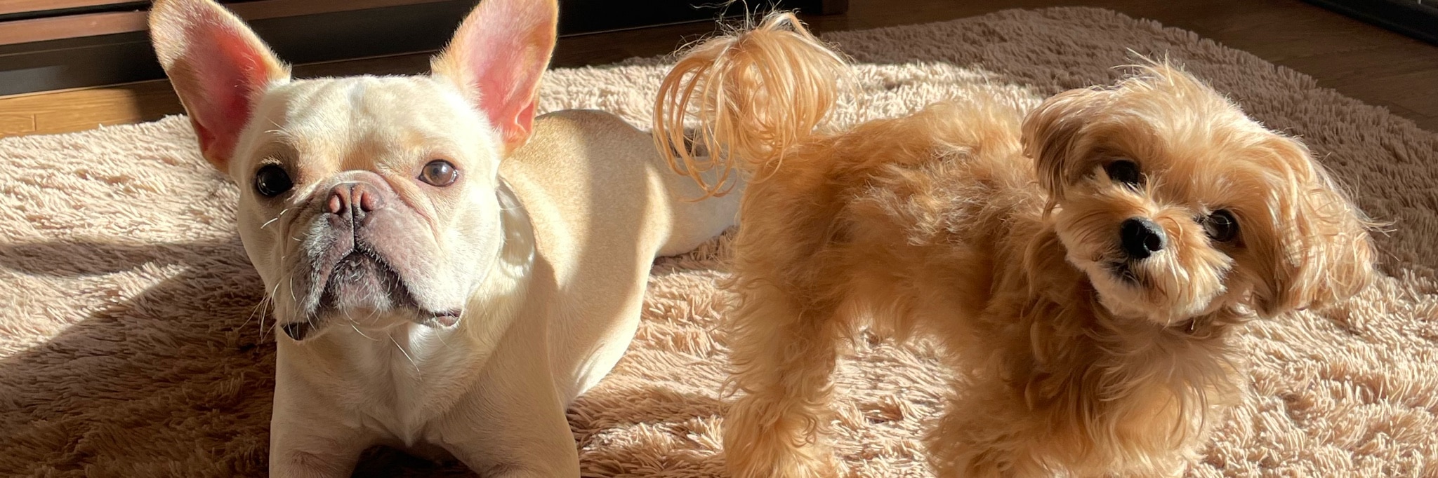 Kanako のROOM - 欲しい! に出会える。