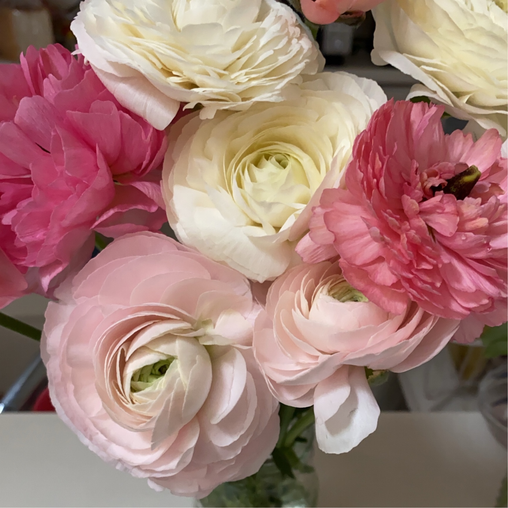 na-na smiley のROOM - 欲しい! に出会える。