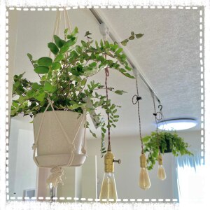 ダブルペーパーホルダー SC-31W-CT