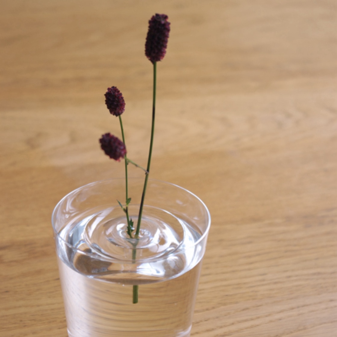 【7/4-｜6%クーポン配布中】水に浮かべる花器 一輪挿し Floating Vase RIPPLE [ グラスやボウル、水盤に合わせて ]【ゆうパケット対応可】[ゆうパケット 1/7]