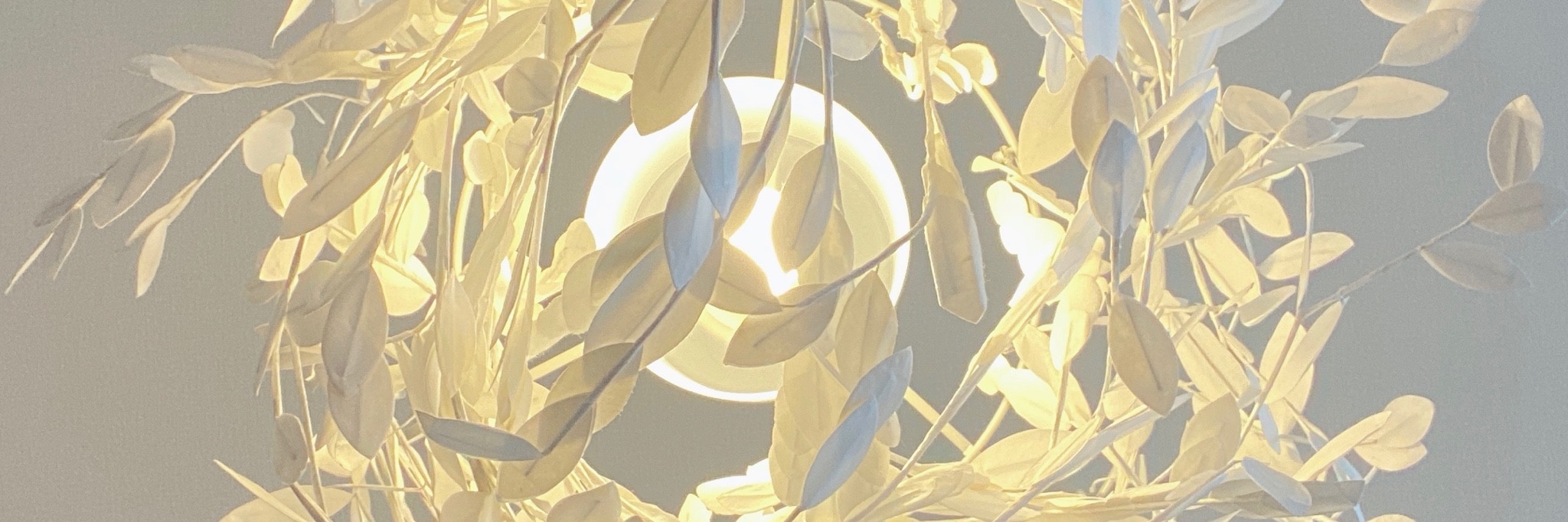 cocoa のROOM - 欲しい! に出会える。