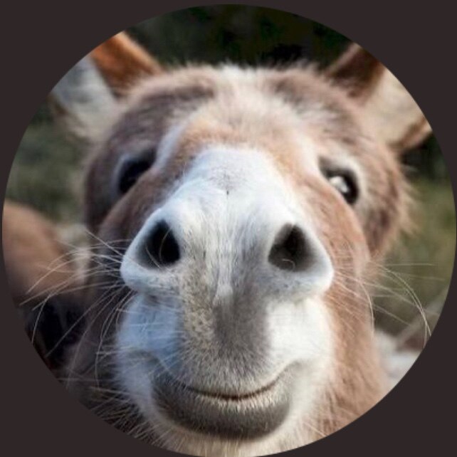 donkeyのコレクションROOM のROOM - 欲しい! に出会える。