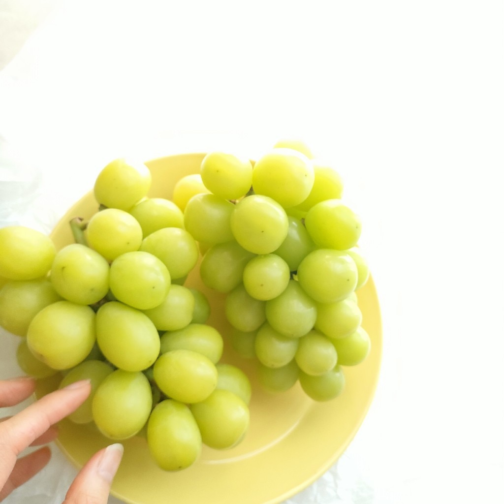 【ふるさと納税】シャインマスカット 【内容量が選択可能】700g 900g 1kg 1.2kg 1.5kg 1.8kg 2kg 3kg 5kg 【定期便】約1kg 計3回お届け 2024年発送 ...