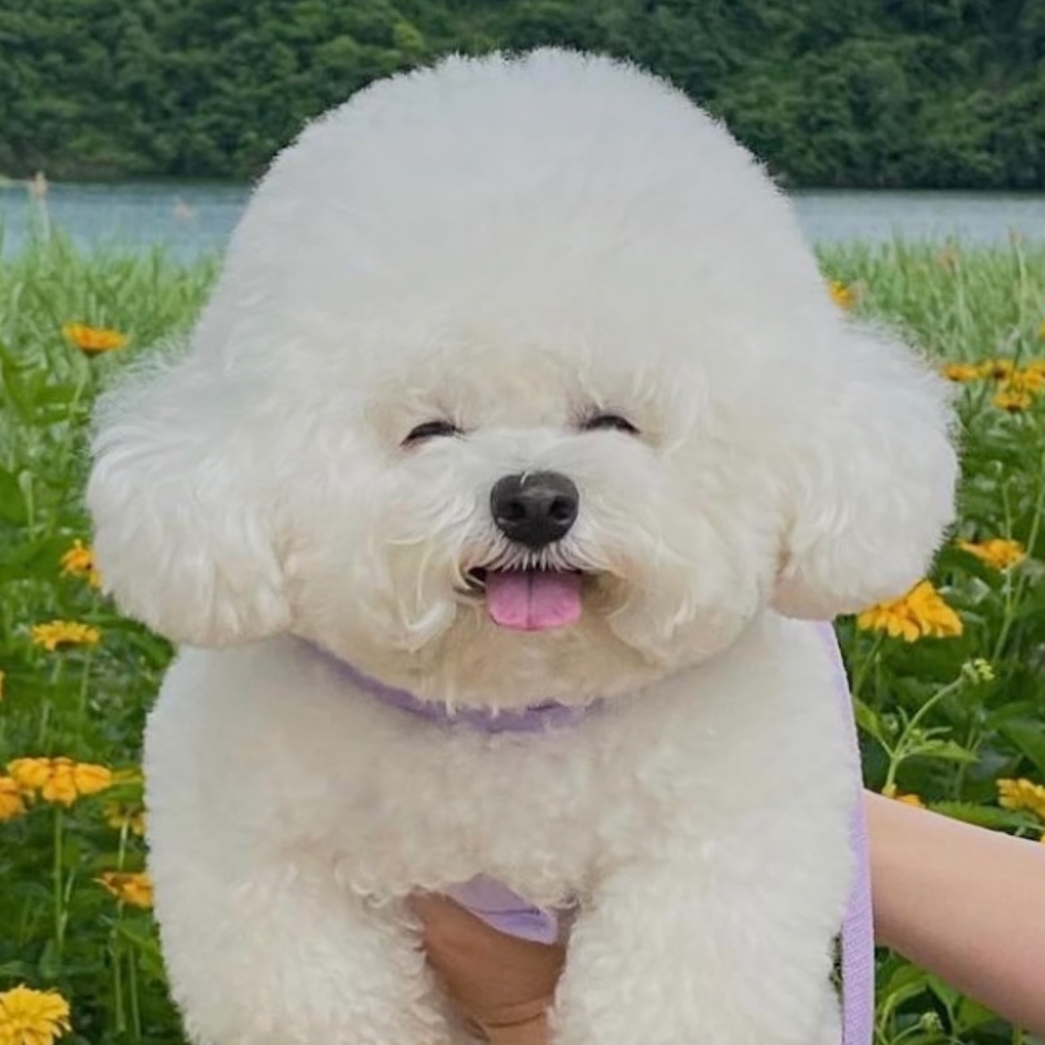 Maria のROOM - 欲しい! に出会える。