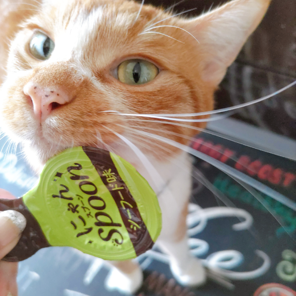 銀のスプーン 三ツ星グルメ おやつにゃんSpoon2種のアソート まぐろ＆シーフード味100g【HLS_DU】 関東当日便