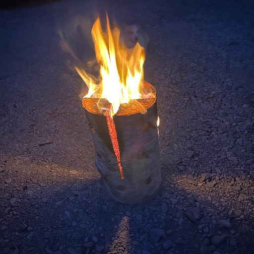 sikoro のROOM - 欲しい! に出会える。