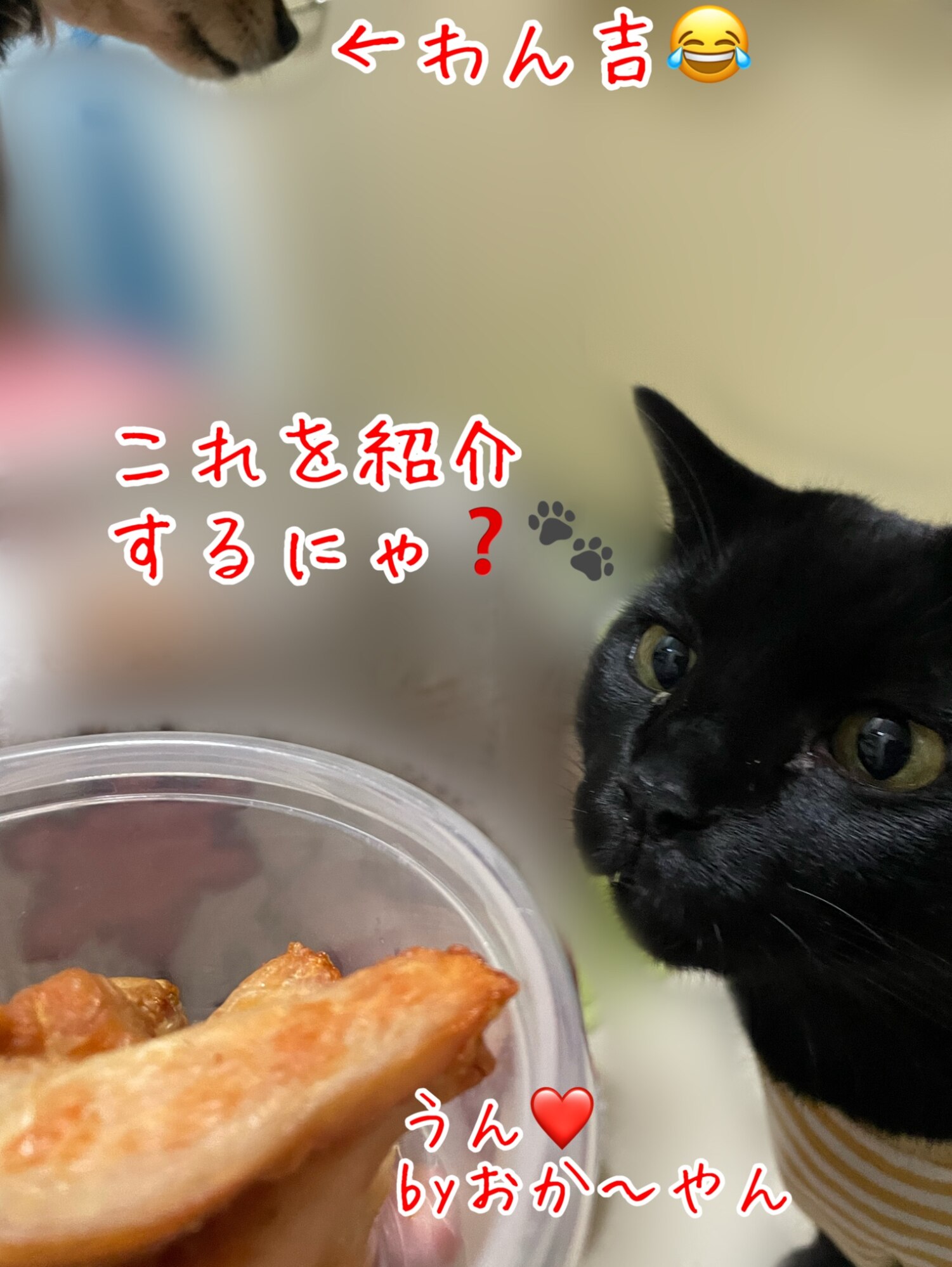 岩手県産 十文字鶏 国産 若鶏 むね肉 4kg 2kg×2P 送料無料 国産鶏 鶏肉 ムネ鶏むね肉 胸肉 鶏胸肉 ニュークイック おすすめ