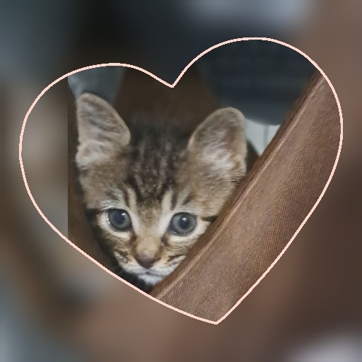 seiry♡Room のROOM - 欲しい! に出会える。