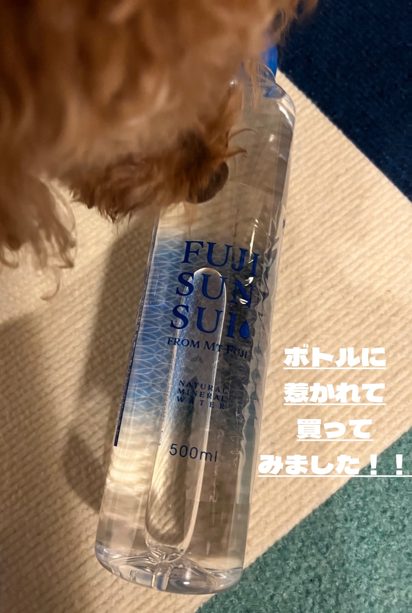 FUJI SUN SUI ケース(500ml*24本入)【富士の源水】