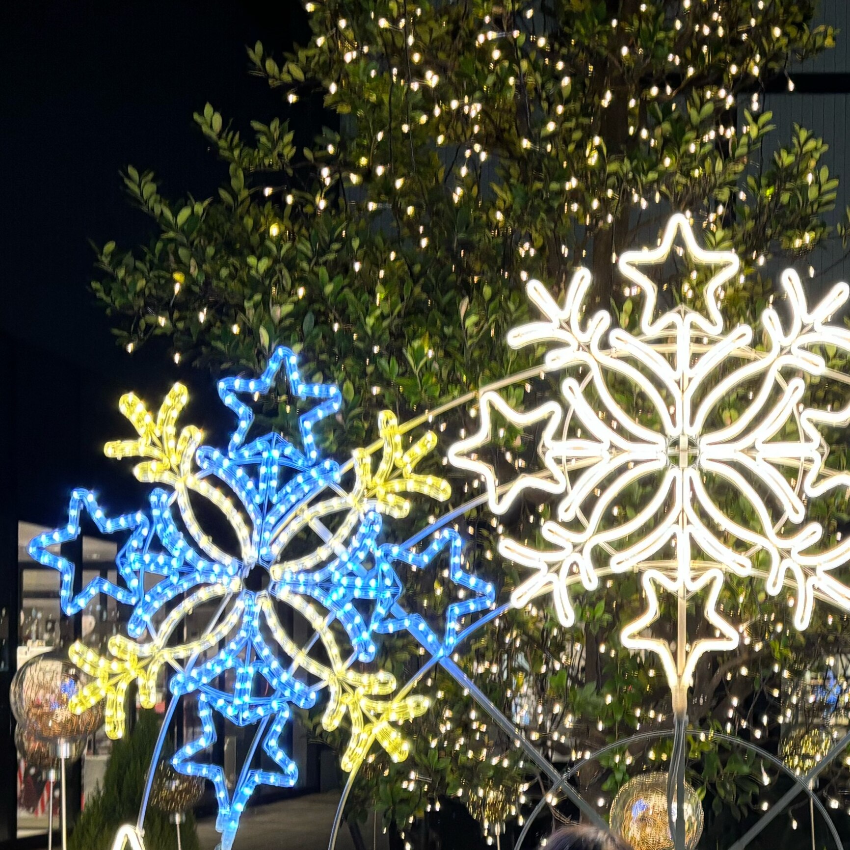 20y.ms.yell のROOM - 欲しい! に出会える。