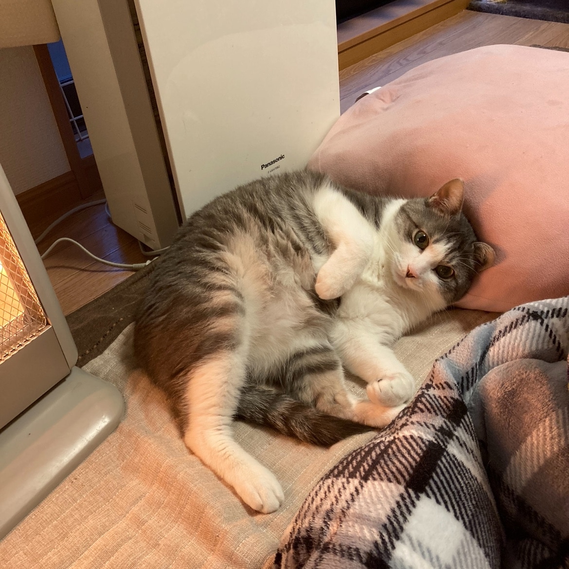 HIRO room🍴💄🐈 のROOM - 欲しい! に出会える。