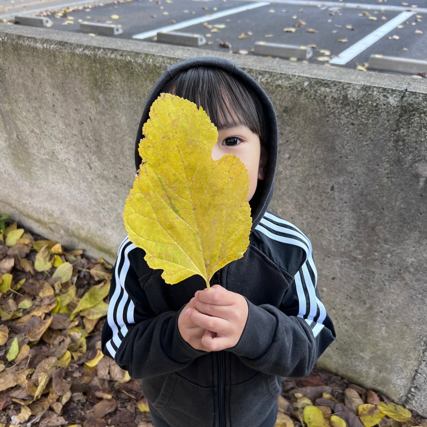 MISATO のROOM - 欲しい! に出会える。