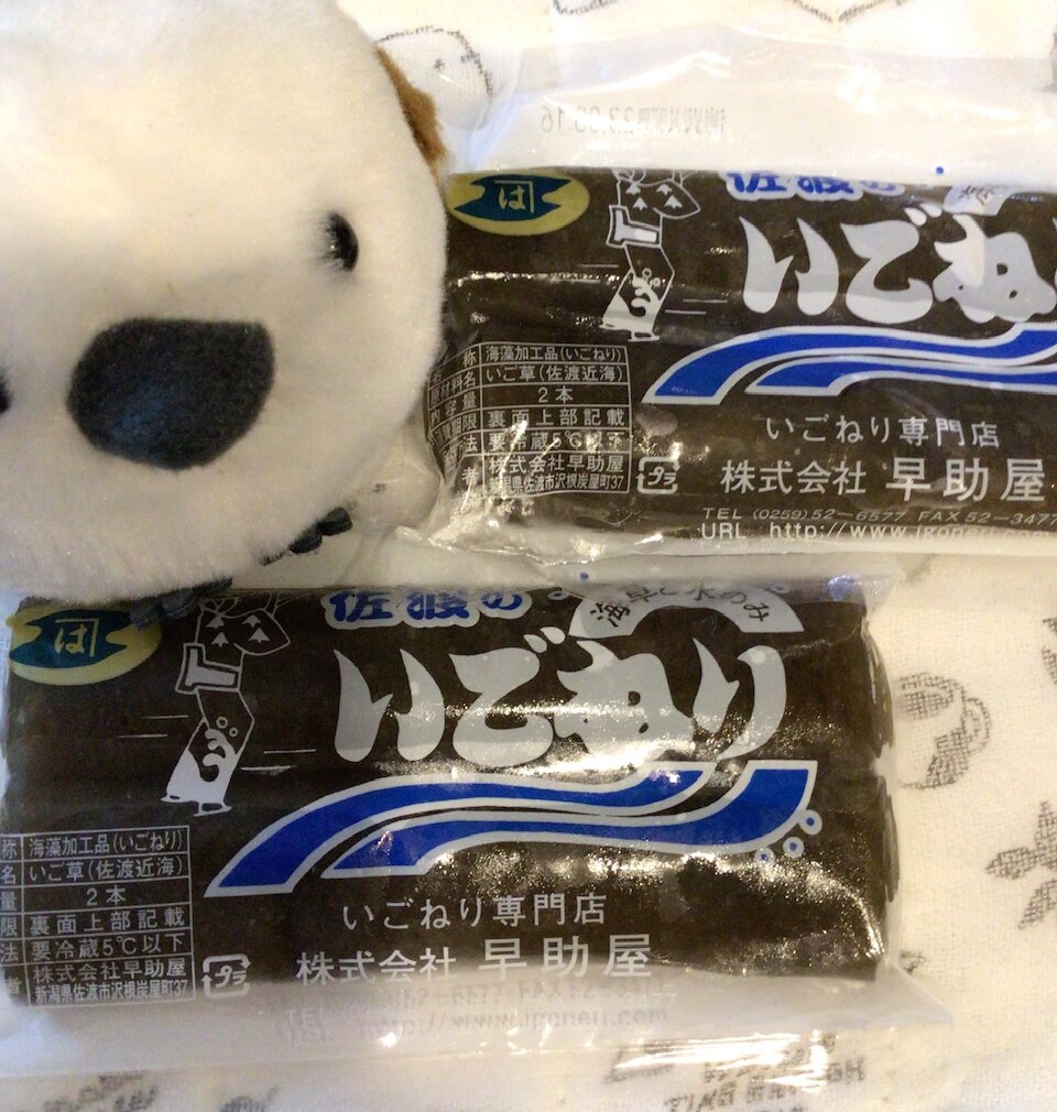 [お買い物マラソン][通常￥1,380→1,298]佐渡産 巻いごねり2本入（約120g）×5P 特産品 えご 新潟 海草 海藻 ヘルシー 低カロリーダイエット 無添加 自然食巻き 郷土食 母 ...