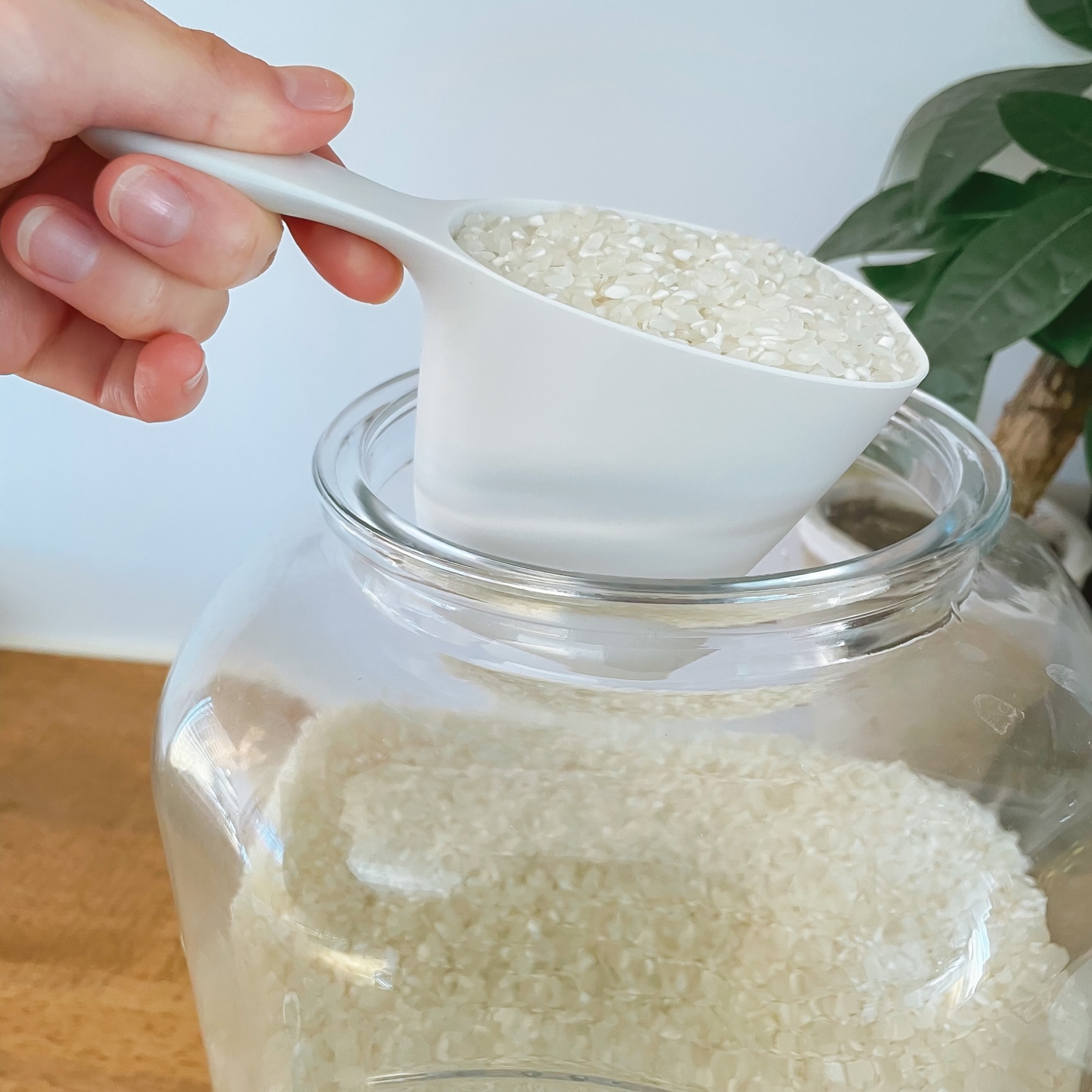 【マーナ公式】 極 お米計量カップ K694 | 1合 0.5号 ライスカップ 食洗機対応 すくいやすい 持ち手付き ライスメジャー メジャーカップ ミニ 小さい コンパクト 極み キッチン ...