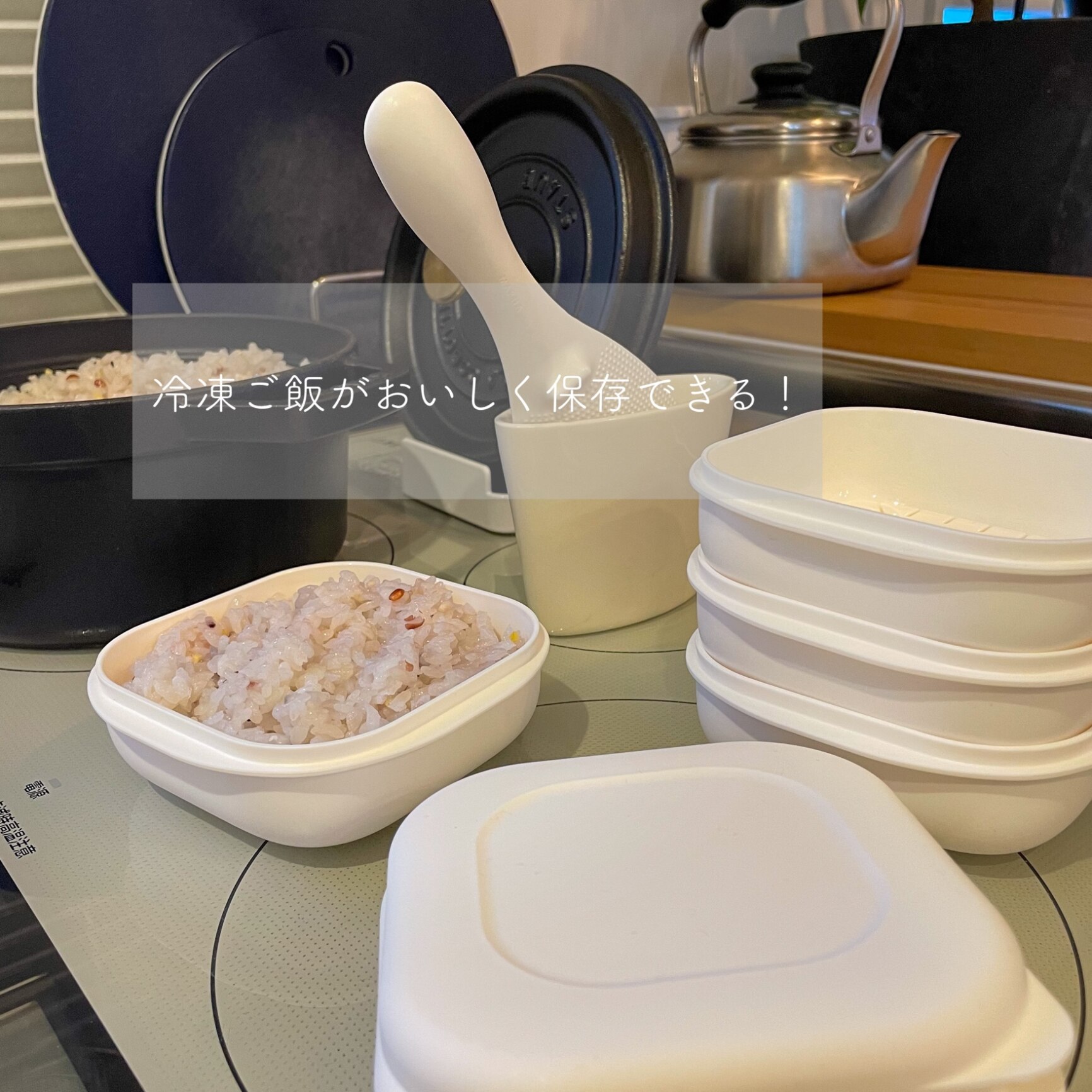 12時まで当日出荷レビュー特典 極冷凍ごはん容器 4個入り K748 マーナ 冷凍ごはん marna お米 ごはん 冷凍 容器 冷凍保存 炊き立てごはん ふっくら 一膳 レンジ 冷凍ごはん ...