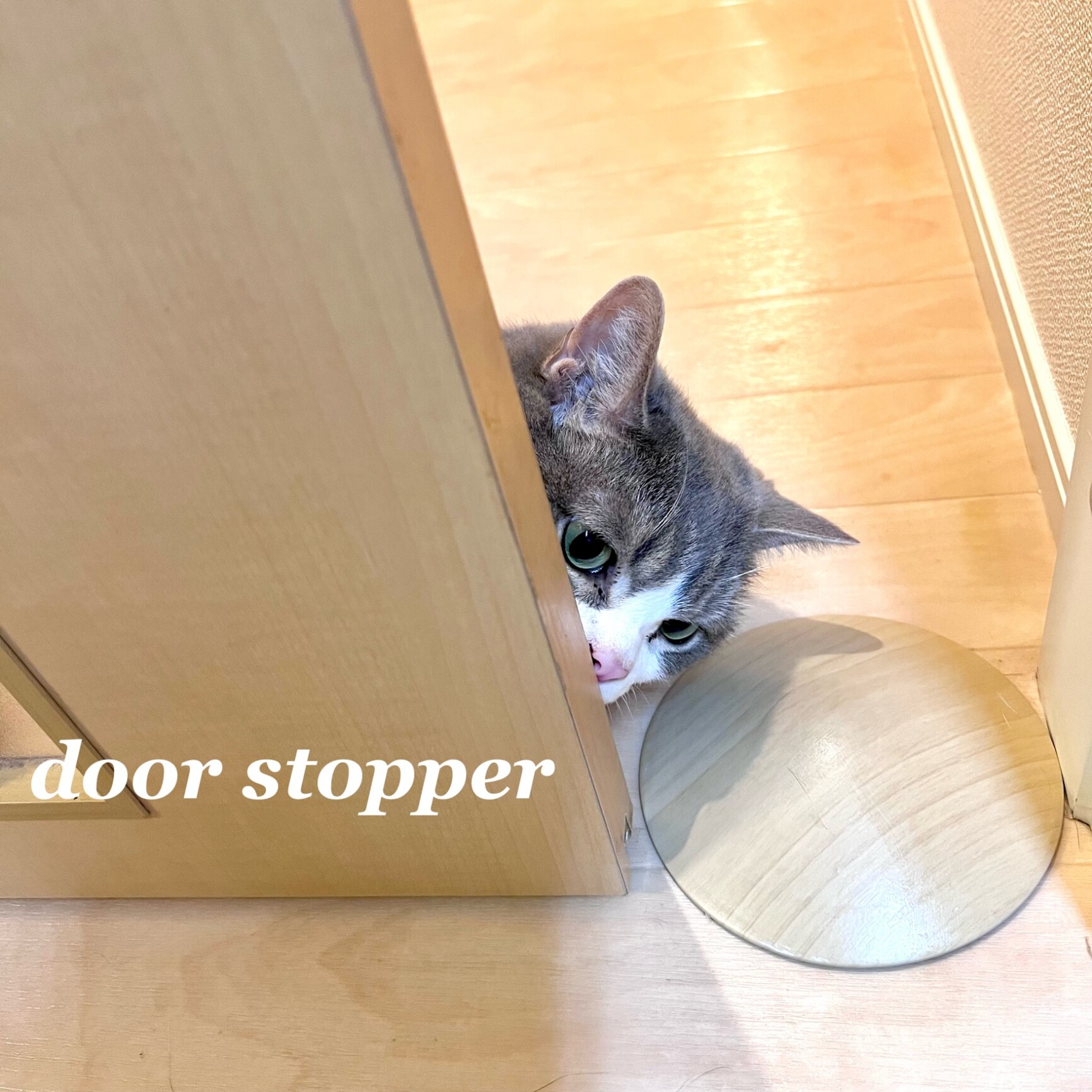 【メール便送料無料】ルークラン DOORIS ドアリス ドアストッパー