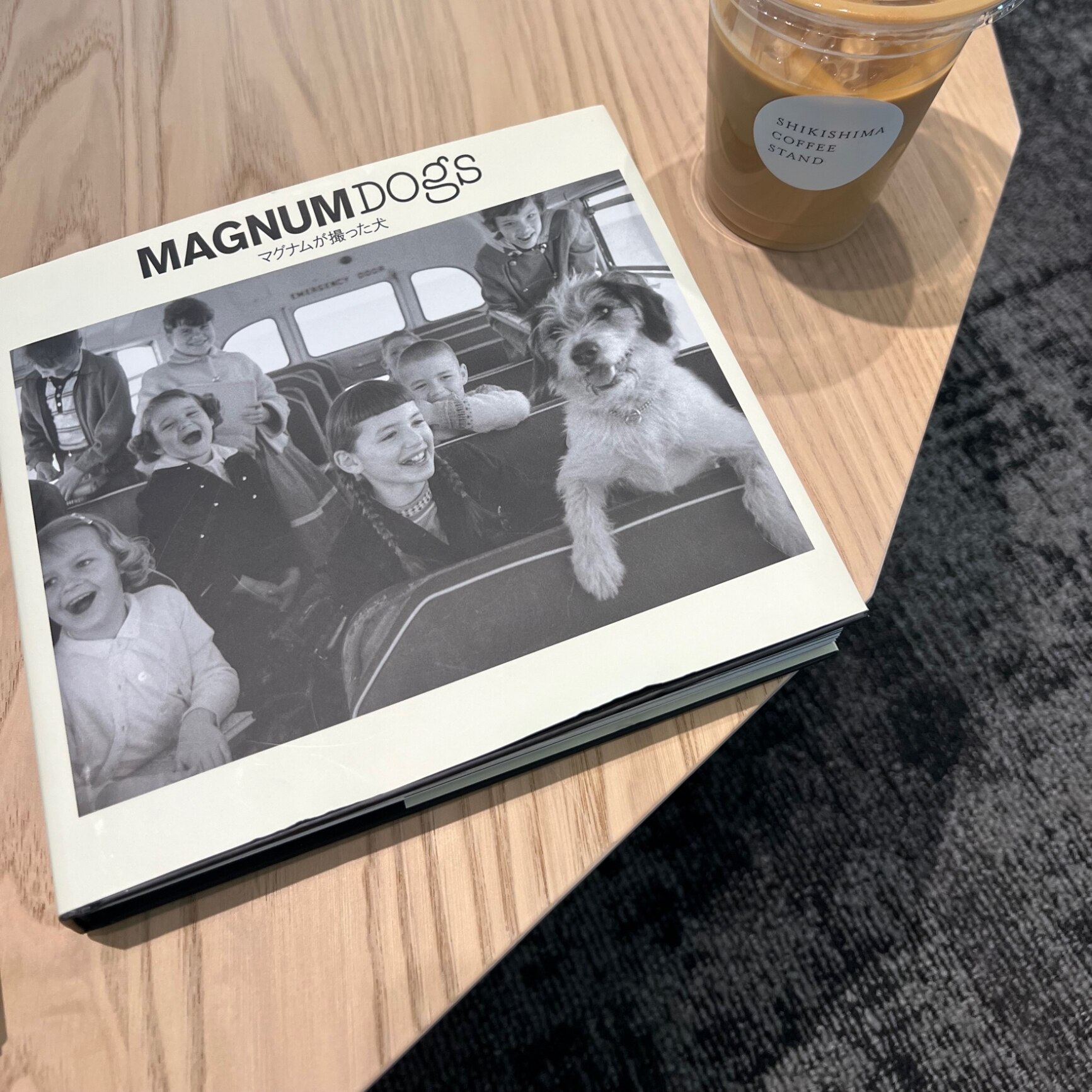 MAGNUM DOGS マグナムが撮った犬／マグナム・フォト／藤井留美【3000円以上送料無料】