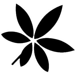 pakiki のROOM - 欲しい! に出会える。